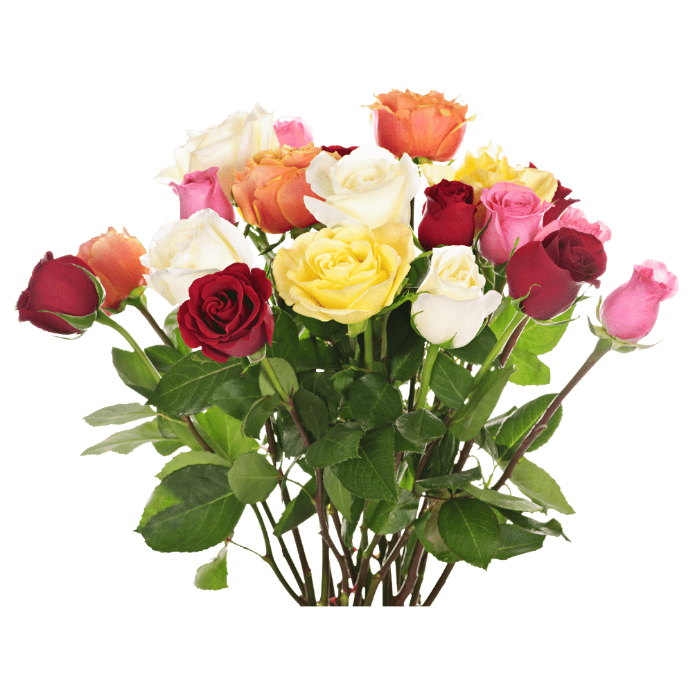 Toko Bunga Palangkaraya King FLorist